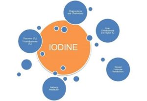 The Extrathyroidal Role of Iodine - Hormones Matter